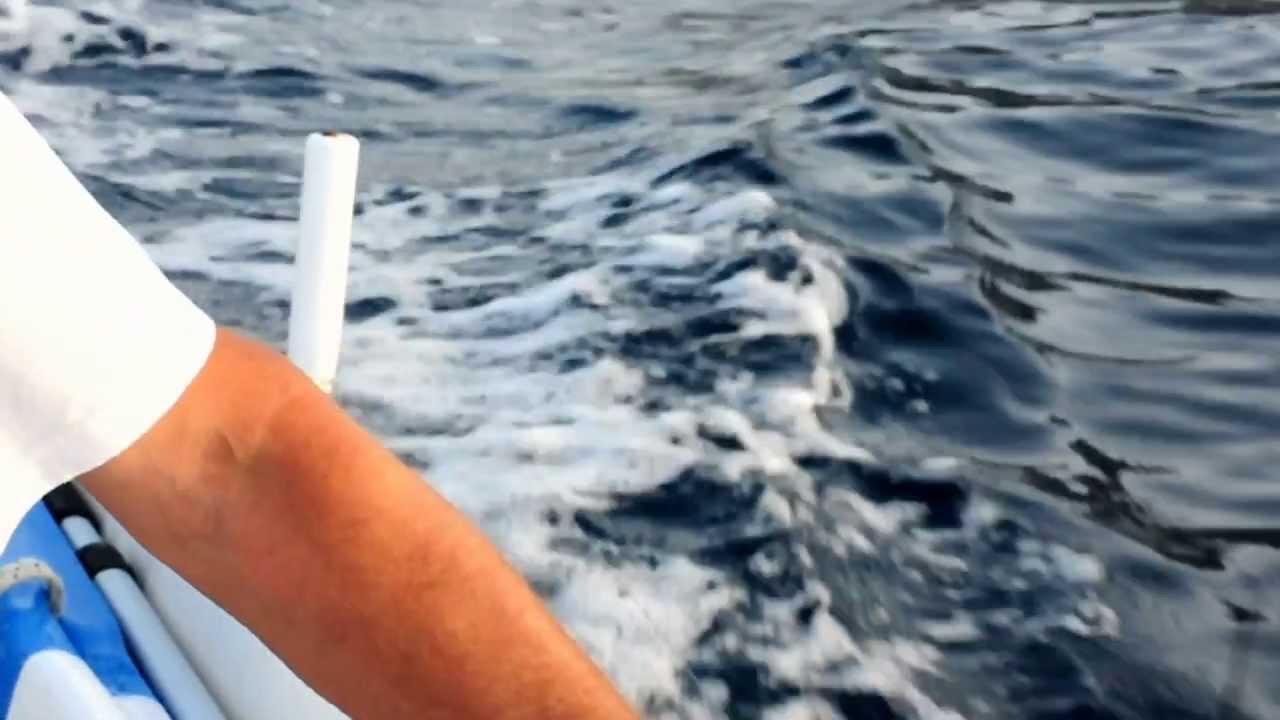 Belle Pêche à la Daurade Coryphéne en Méditerranée, Milos, Gréce. pêche ...