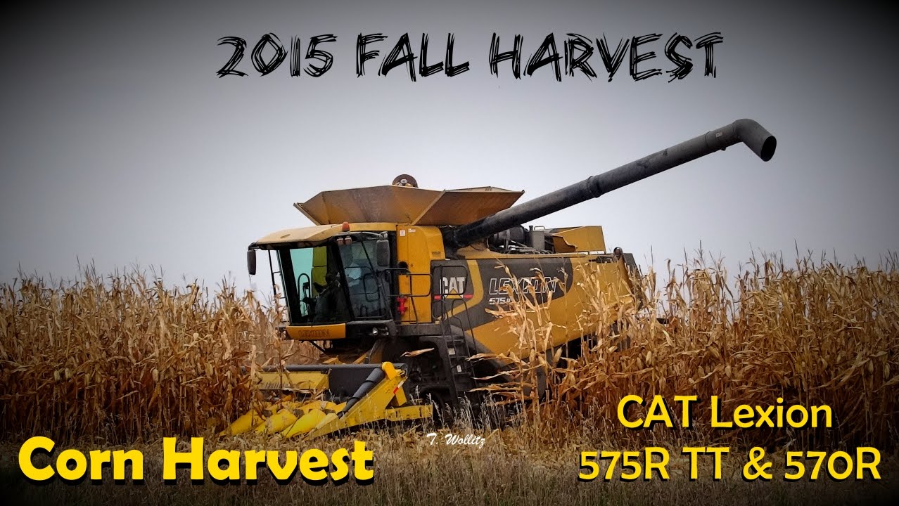 Corn Harvest: CAT Lexion 575R TT & 570R Combines - YouTube
