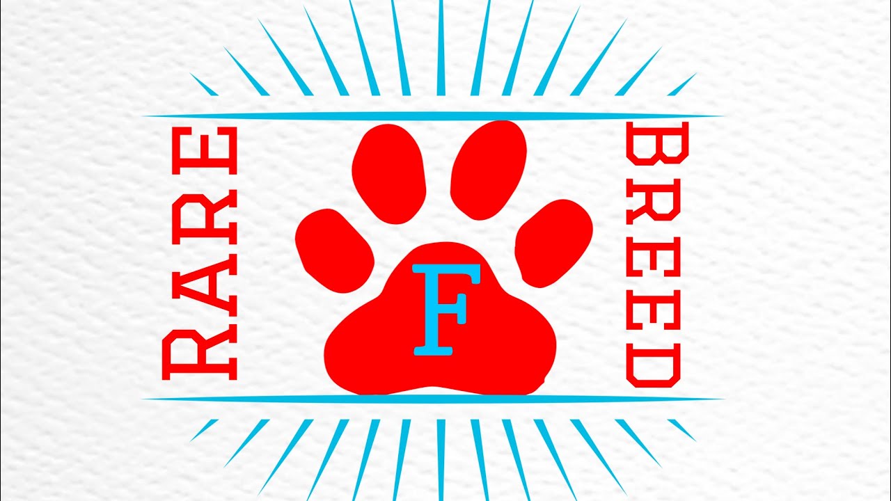 Frostproof Youth Football & Cheer had an amazing year due to some ...