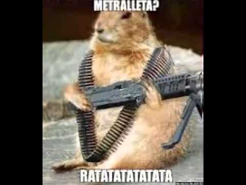 que hace una rata con metralleta - YouTube