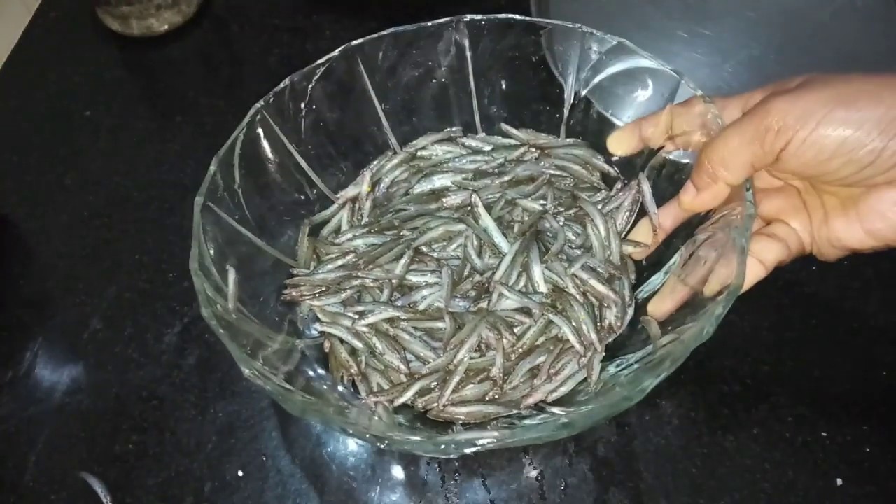 How to Clean Ayira Meen in tamil /அயிரை மீன் சுத்தப்படுத்துவது எப்படி ...