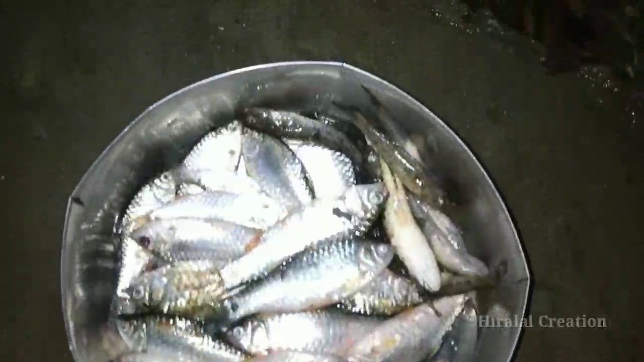 Fishing || Pothi machli || River Fish - YouTube