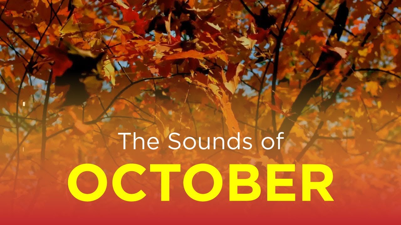 The Sounds of October - YouTube