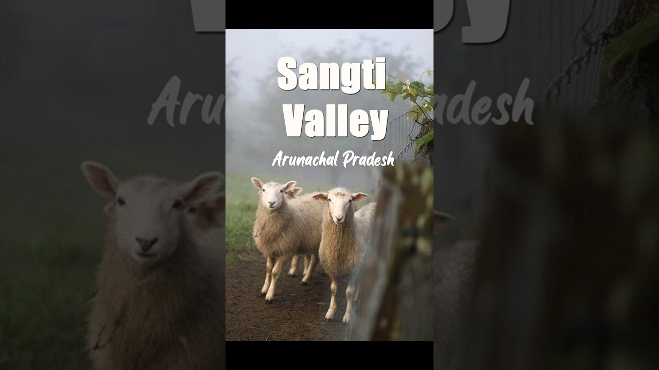 Santi Valley | Sangti river | Letro Home Stay | arunachal #arunachal # ...