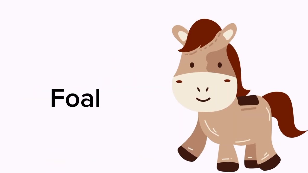 Learn animals for toddlers |Preschool learning | animals and their ...