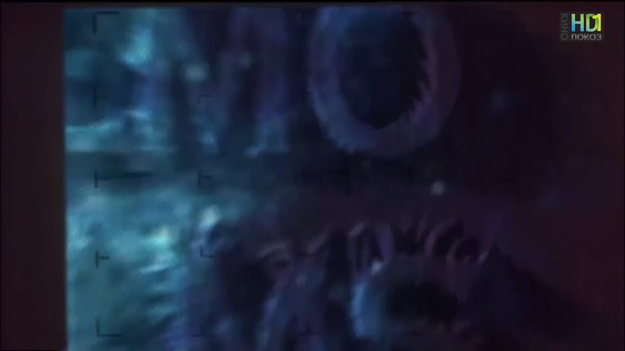 Nemo Films/DreamWorks TV/NBC Studios/MGM Worldwide TV Distribution ...