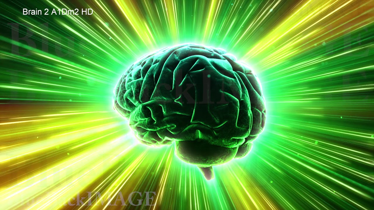 Brain anatomy human body idea mind concept mental Brain 2 A1Dm2 HD ...