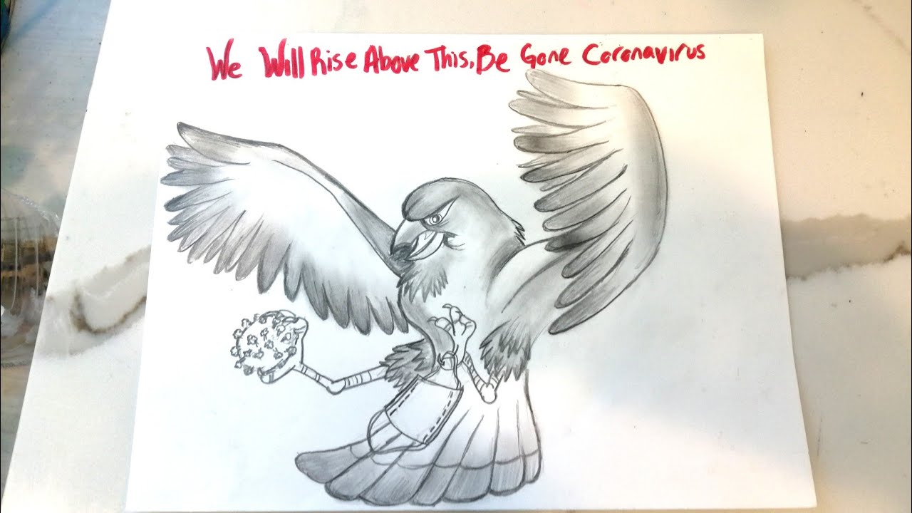 How to draw a Paradigm Falcon - YouTube