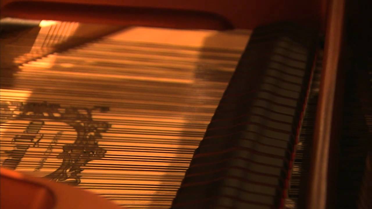 Kouch Ensemble concert, Atsh Bedoon-e-Dood, Composer Roham Behmanesh ...