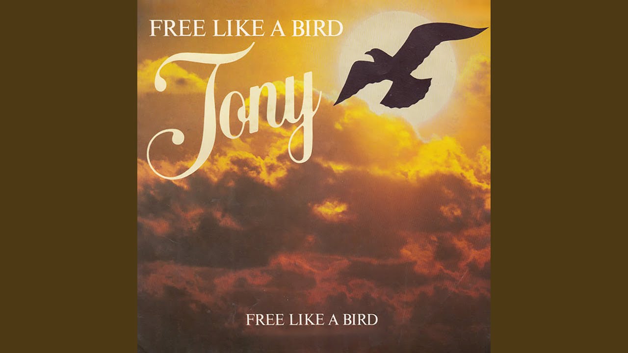 Free Like A Bird - YouTube