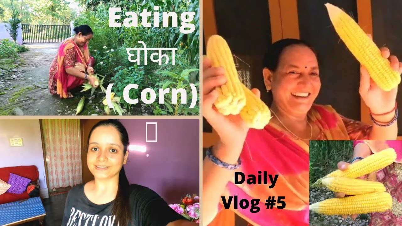Daily Vlog #5 | Eating घोका 🌽 (Corn ) With Mummy | Why Always Green ...