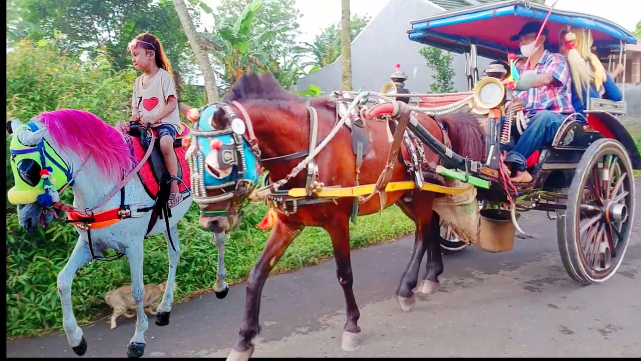 Naik Kereta Kuda - Lagu Naik Delman Istimewa - Naik Kuda Delman - Dokar ...