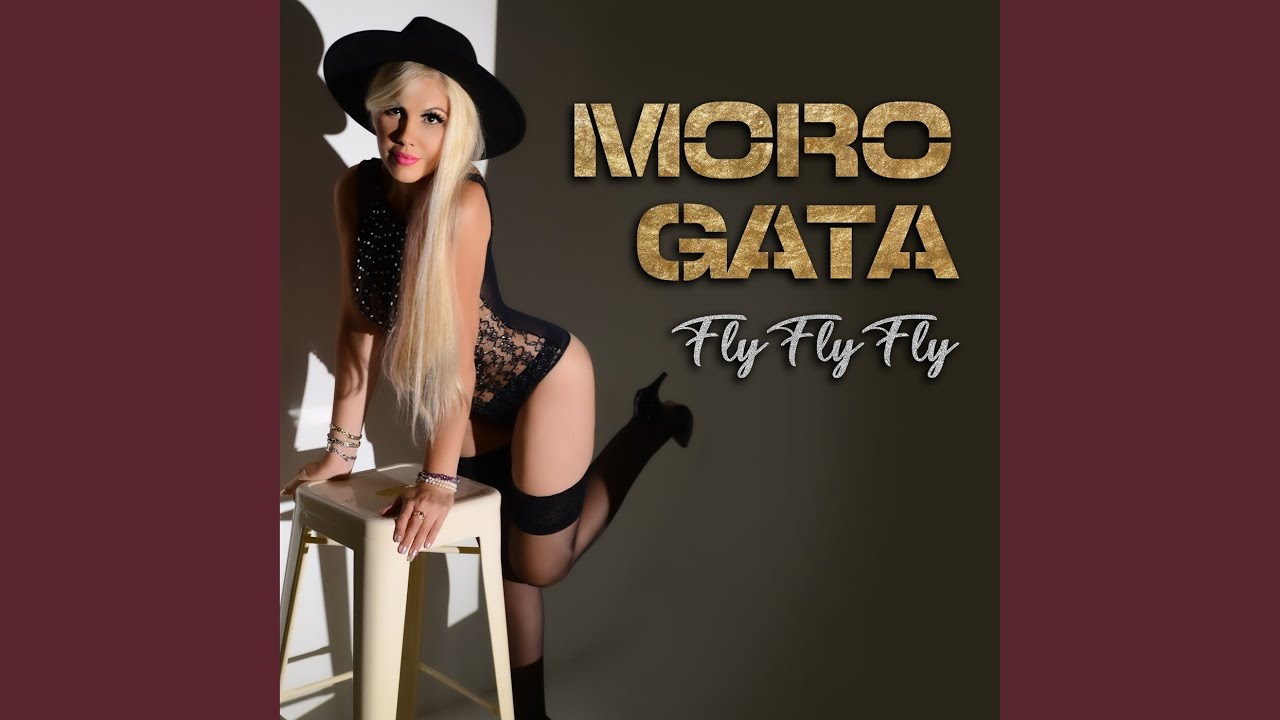 Fly Fly Fly - YouTube