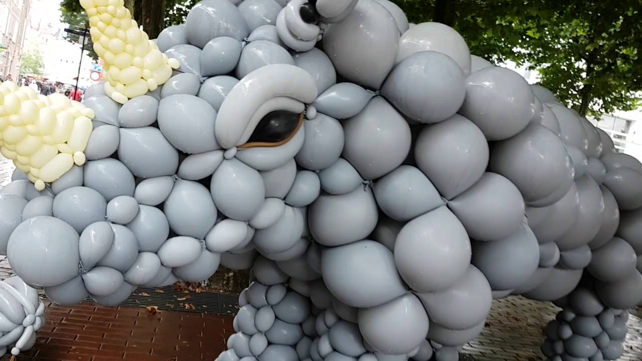 Balloon Rhino Project Team Den Bosch - YouTube