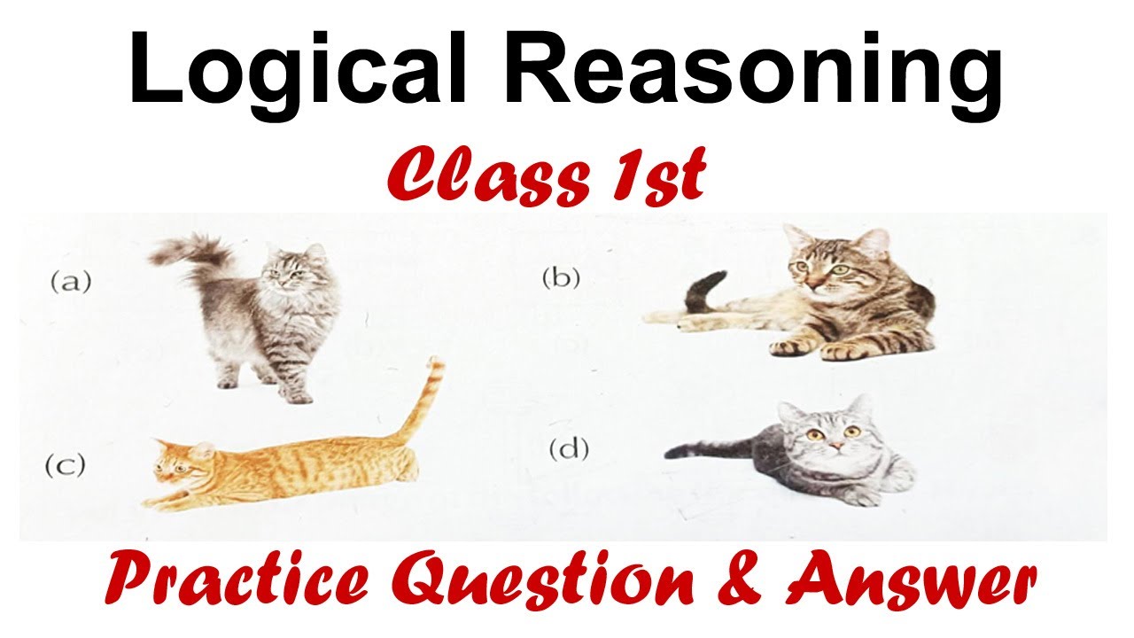 Class 1st Logical Reasoning /Logical Reasoning Quiz for class 1st ...