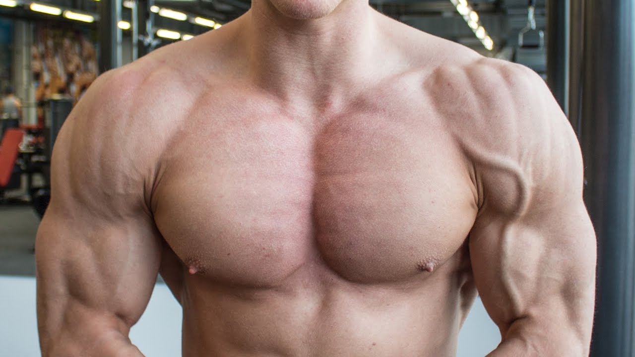 Brustmuskeltraining im Fitnessstudio in Innsbruck | Brust Training ...