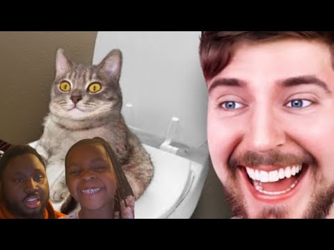 Extreme Try Not To Laugh Challenge! Mr Beast | Reaction - YouTube