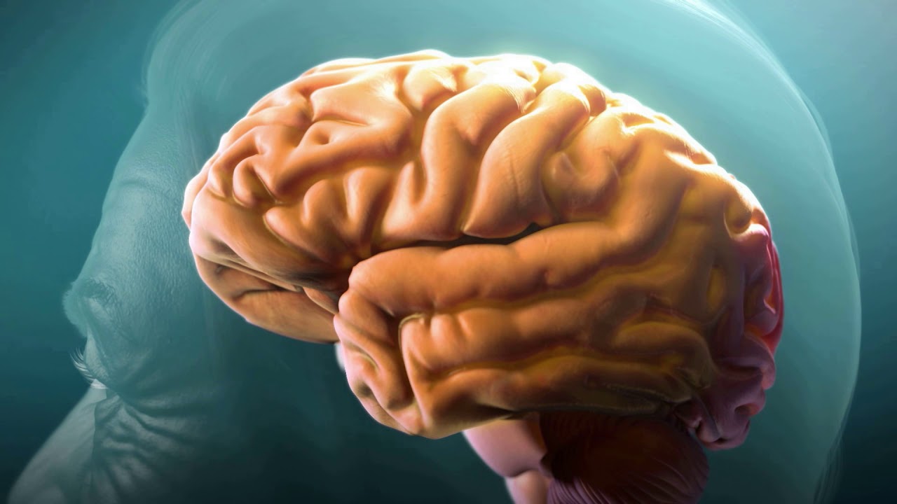 Comprender la enfermedad de Alzheimer (Understanding Alzheimer's ...