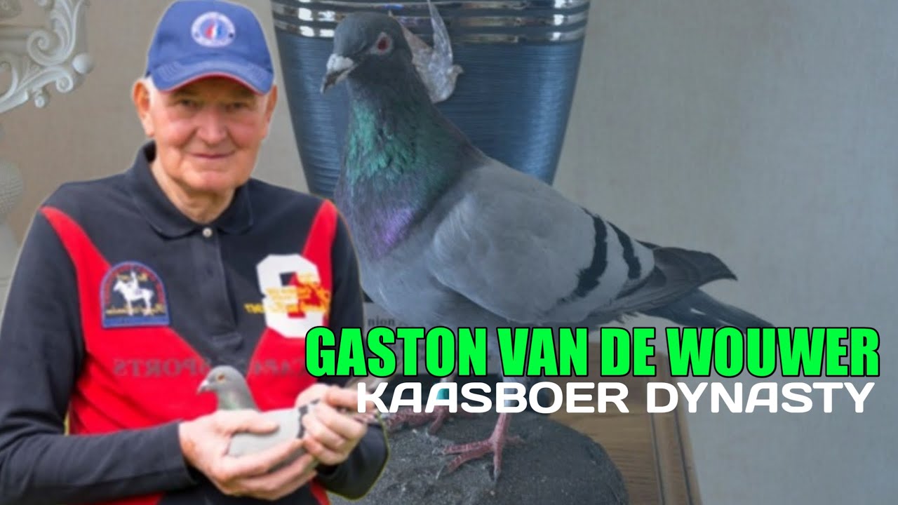 The Phenomenal Super Breeder - KAASBOER Cheese Monger - YouTube