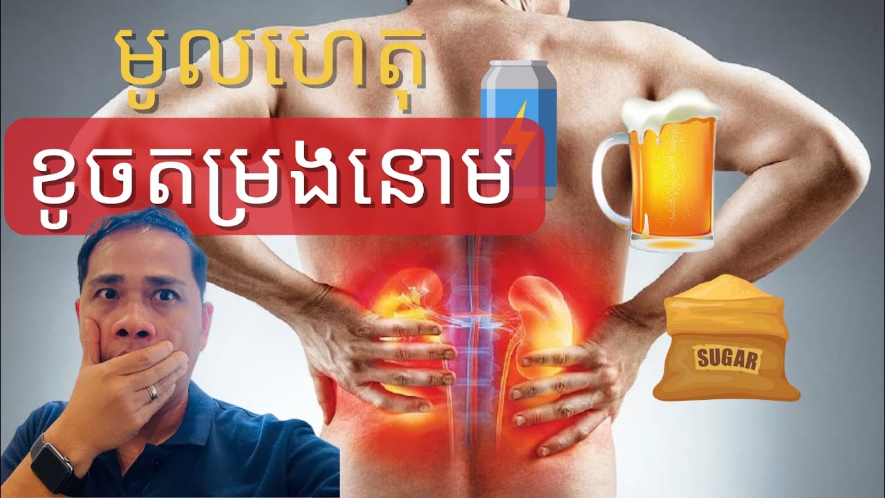 EP33: មូលហេតុដែលបណ្តាលអោយមានជំងឺខូចតម្រងនោមរ៉ាំរ៉ៃ| Causes of CKD - YouTube