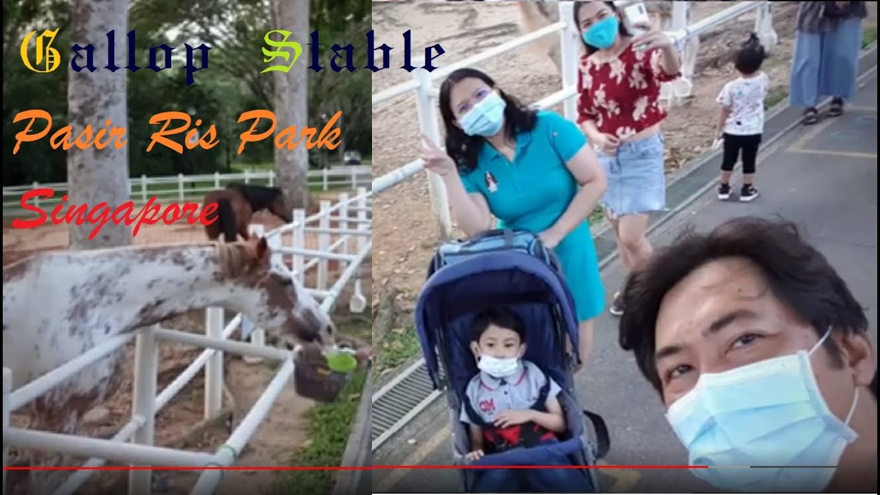 Vlog 043 Gallop Stable Pasir Ris Park Singapore - YouTube