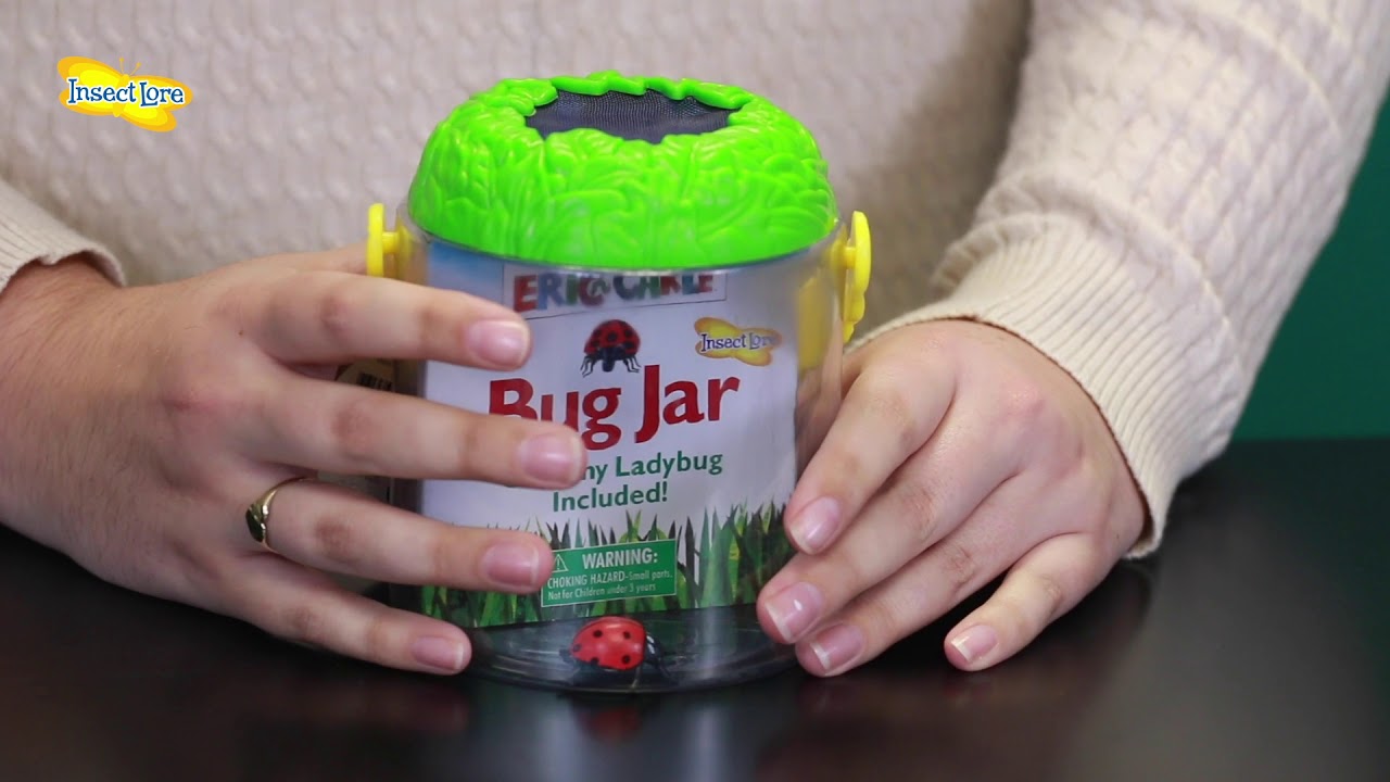 Insect Lore & World of Eric Carle Bug Jar - YouTube