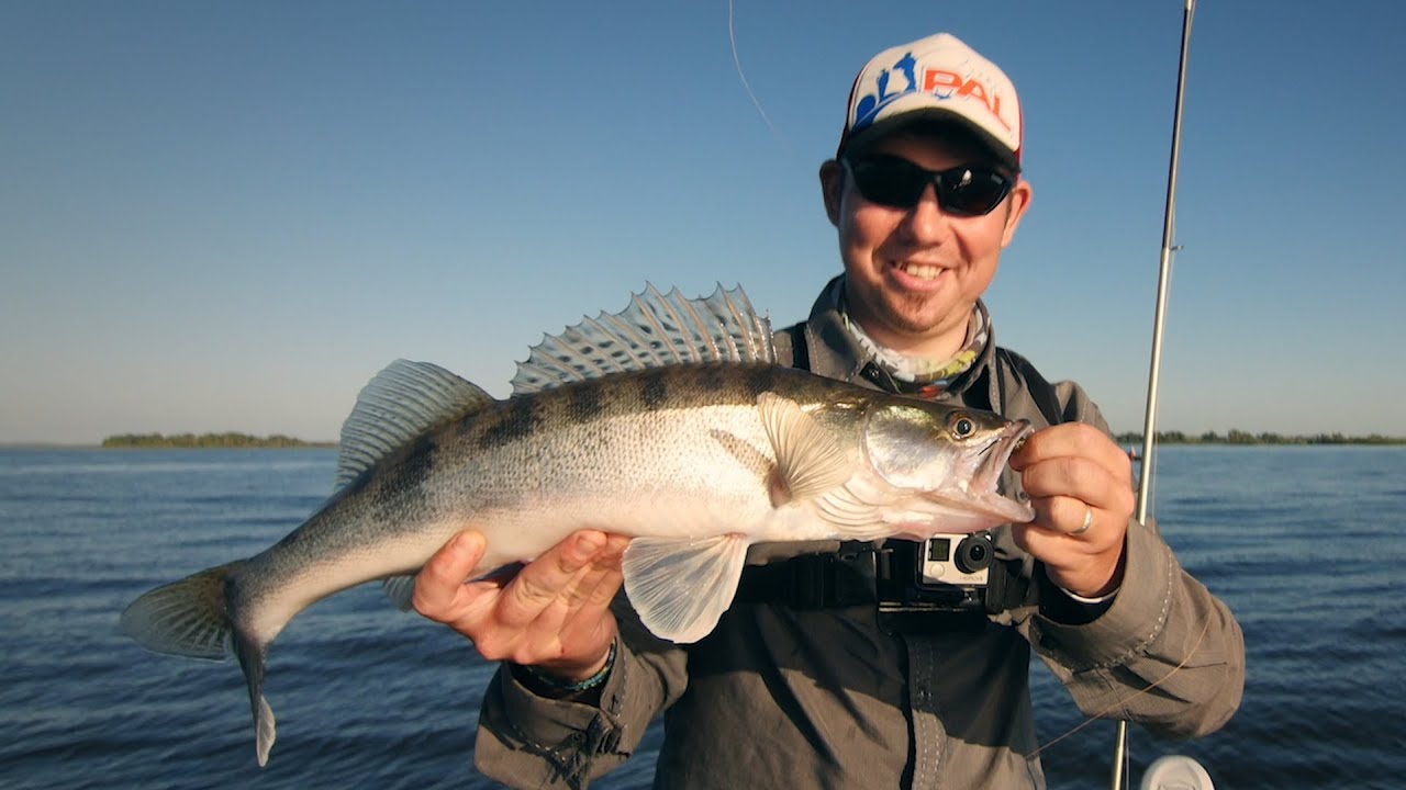 Итоги РОЗЫГРЫША Aspro. Ловля судака. Оснащение силиконового червя ...