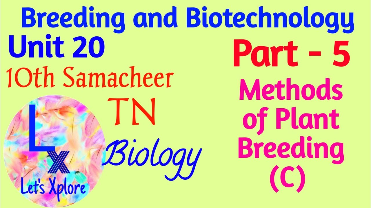 10th std Biology | Unit 20 Breeding and Biotechnology | Methods of ...