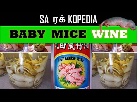 How Do they preare Baby Mice Wine? | World's Scariest Drink | Baby mice wine explained in tamil ...