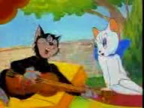 Kedi şarkı söylüyor