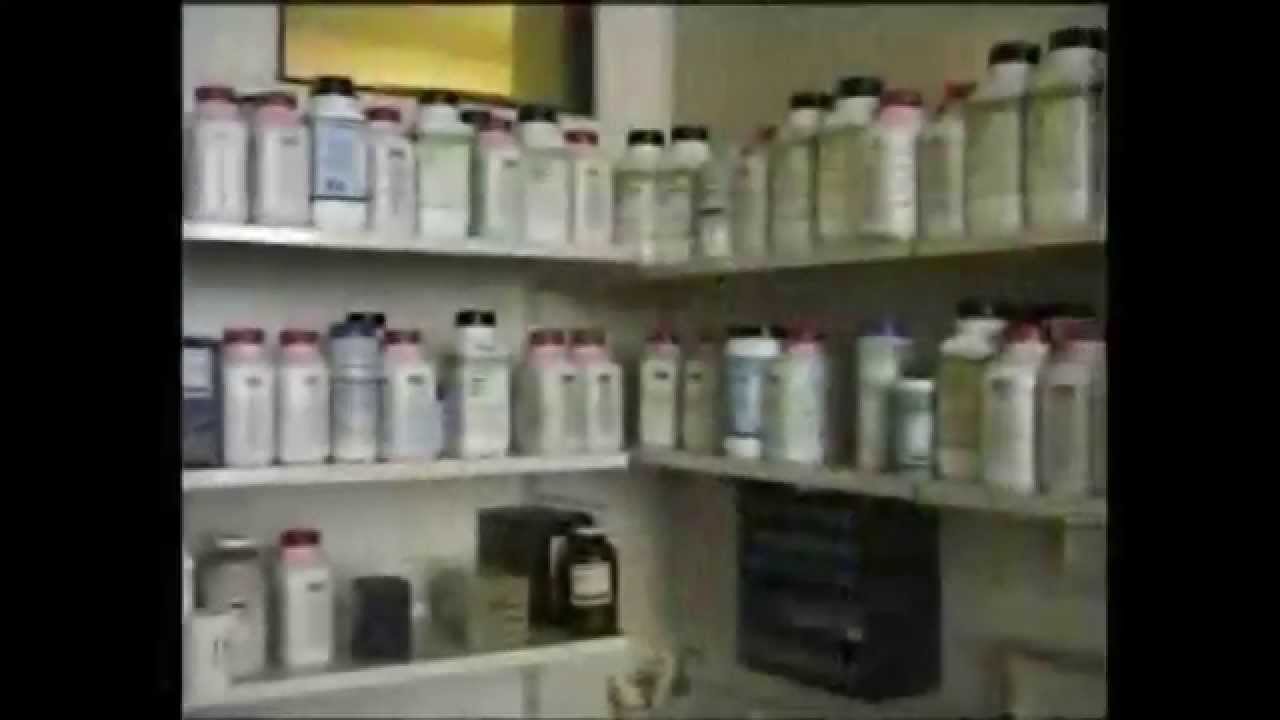 Introduction To Practical Microbiology - Laboratory - YouTube