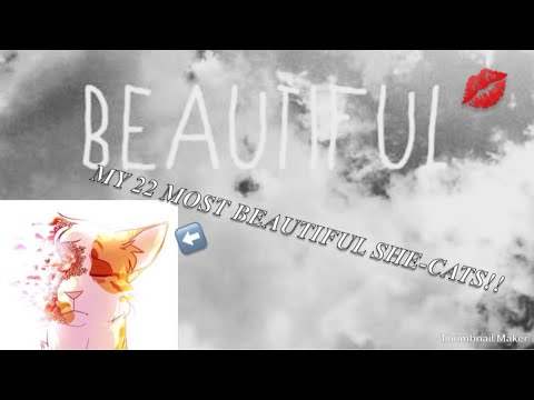 MY 22 MOST BEAUTIFUL SHE-CATS IN WARRIORS!! - YouTube