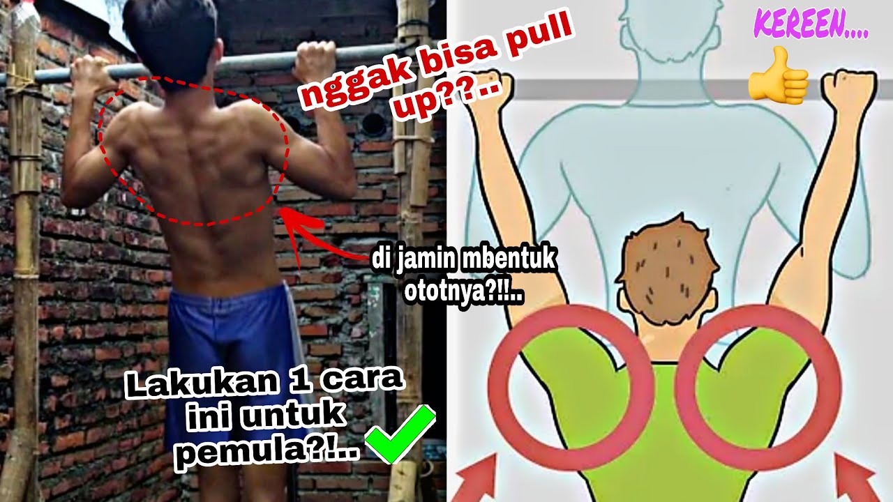 Cara pull up untuk pemula, lakukan 1 ini aja?!!... - YouTube