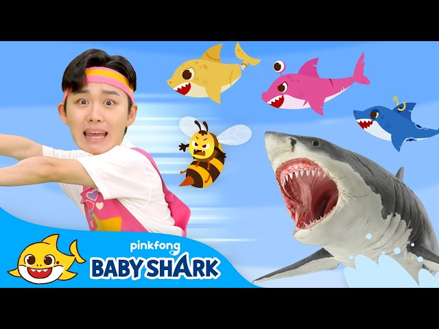 [BEST] Run Away! fast! | Let's Play and Learn with Hoi | Baby Shark ...