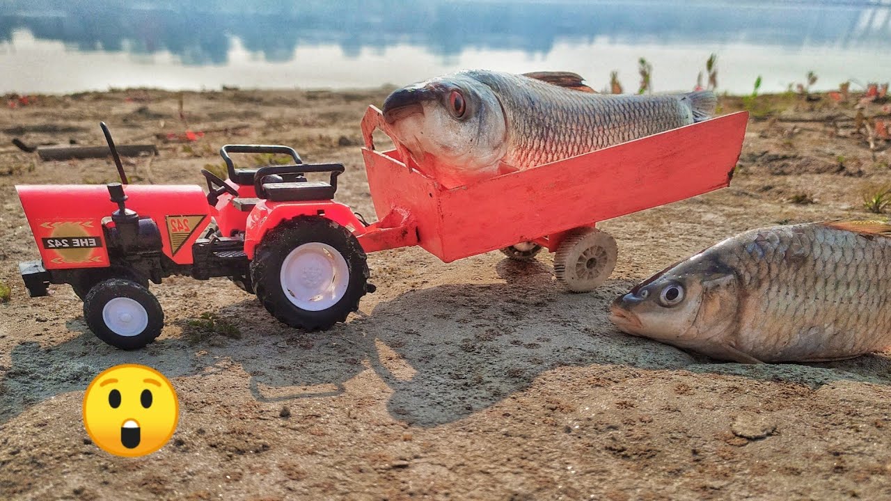 Fish 🐟 Helping Cartoon project video 2022 | Tractor cartoon | Tractor ...