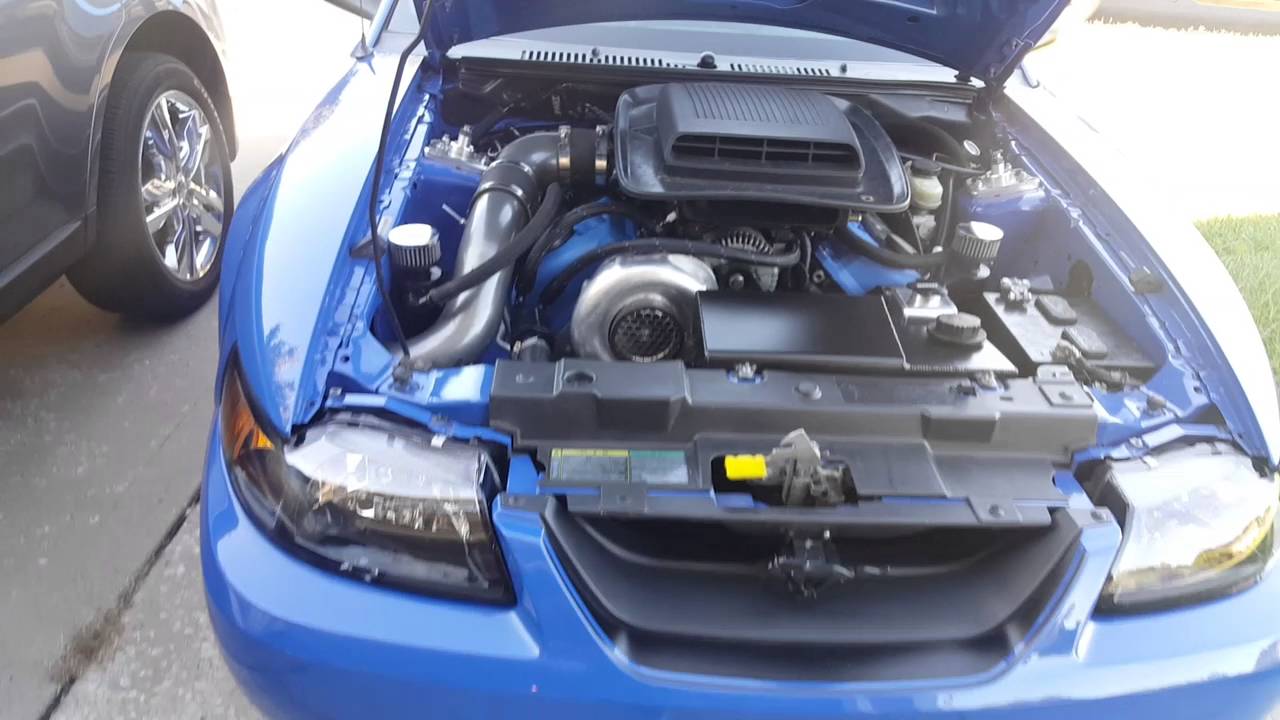 2004 procharged Mach 1 mustang. - YouTube