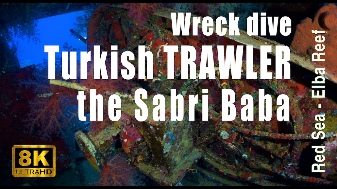 8k - Exploring Sabri Baba Wreck: Red Sea Dive at Elba Reef, Egypt - YouTube