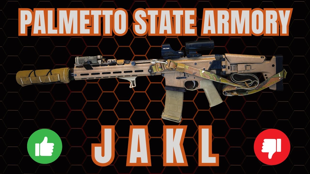PSA JAKL Review: Your Affordable Entry into Piston Driven Rifles - YouTube