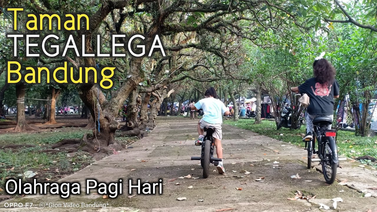 Olahraga Pagi di Lapangan Tegallega Bandung | Info Bandung - YouTube