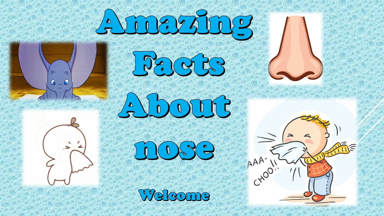 😊 Amazing Facts About Nose 👃 - YouTube