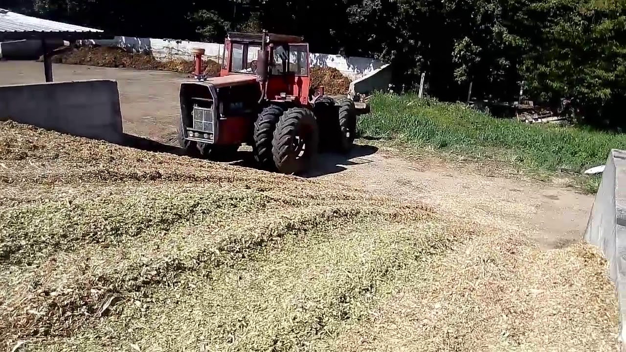 Imt 5200 gaženje silaže - YouTube