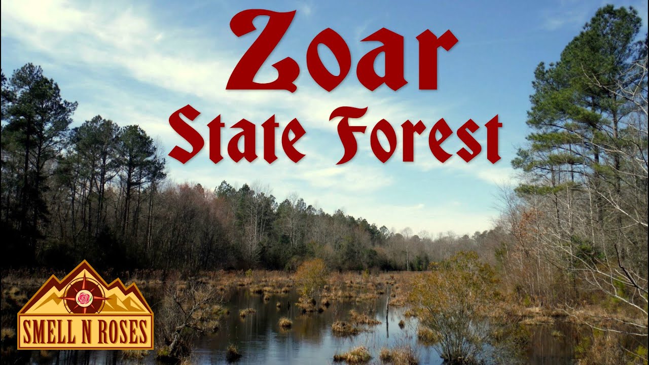 Hiking Zoar State Forest in King William County, Virginia - YouTube