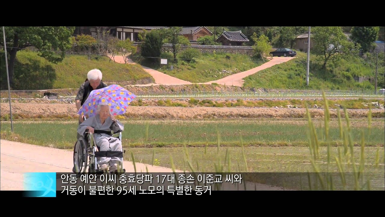 [EIDF2013] 10월 21일 오늘의 EIDF - YouTube