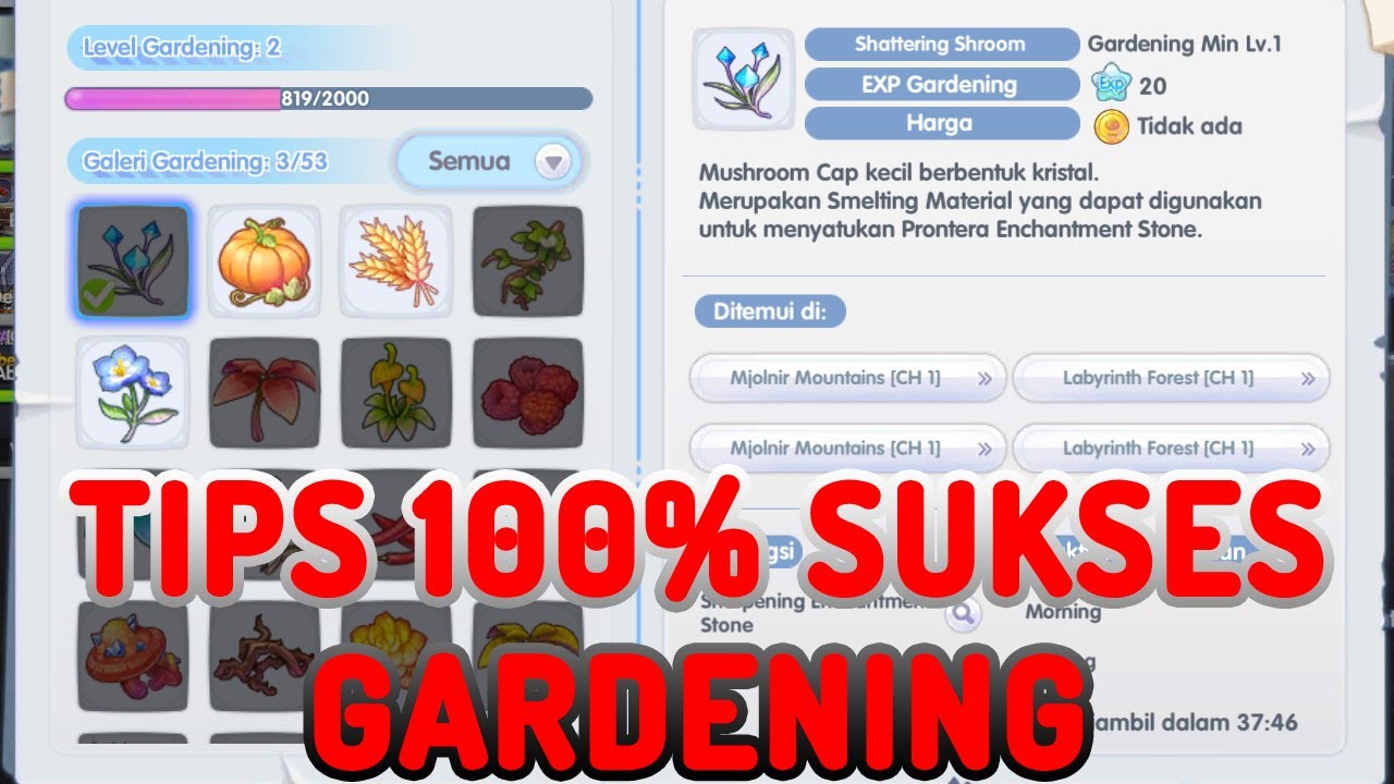 Tips 100% Sukses Gardening! Wheat & Pumpkin Drop di Ragnarok X Next ...
