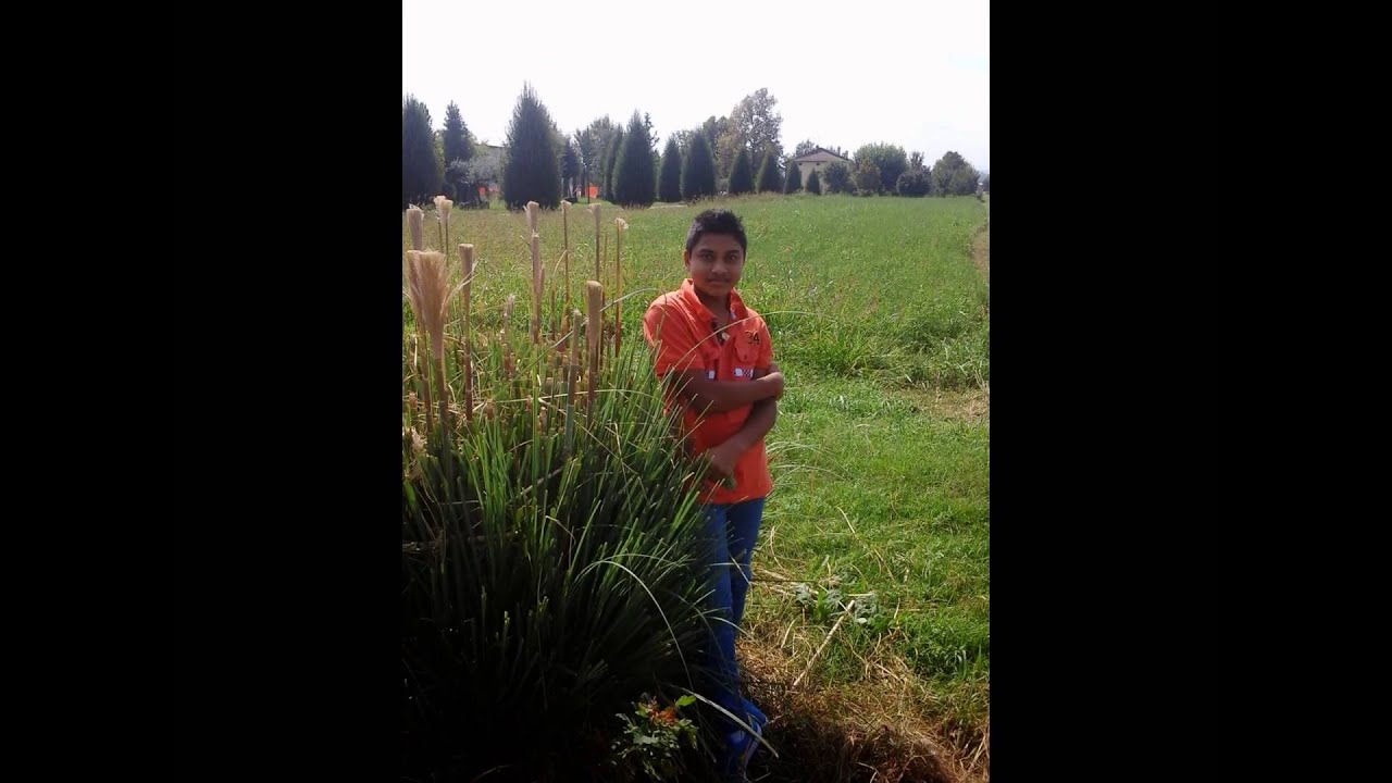 manusha dilshan italy photos - YouTube