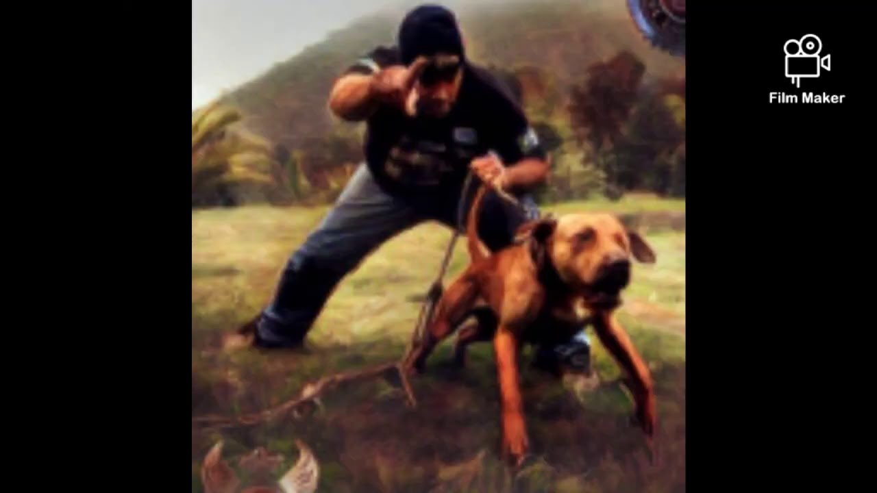 Chico lopez's" Siege The Great" American Pitbull Terrier #Bass's Tramp ...