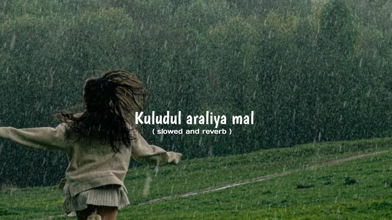 Kuludul Araliya Mal (slowed and reverb) - YouTube