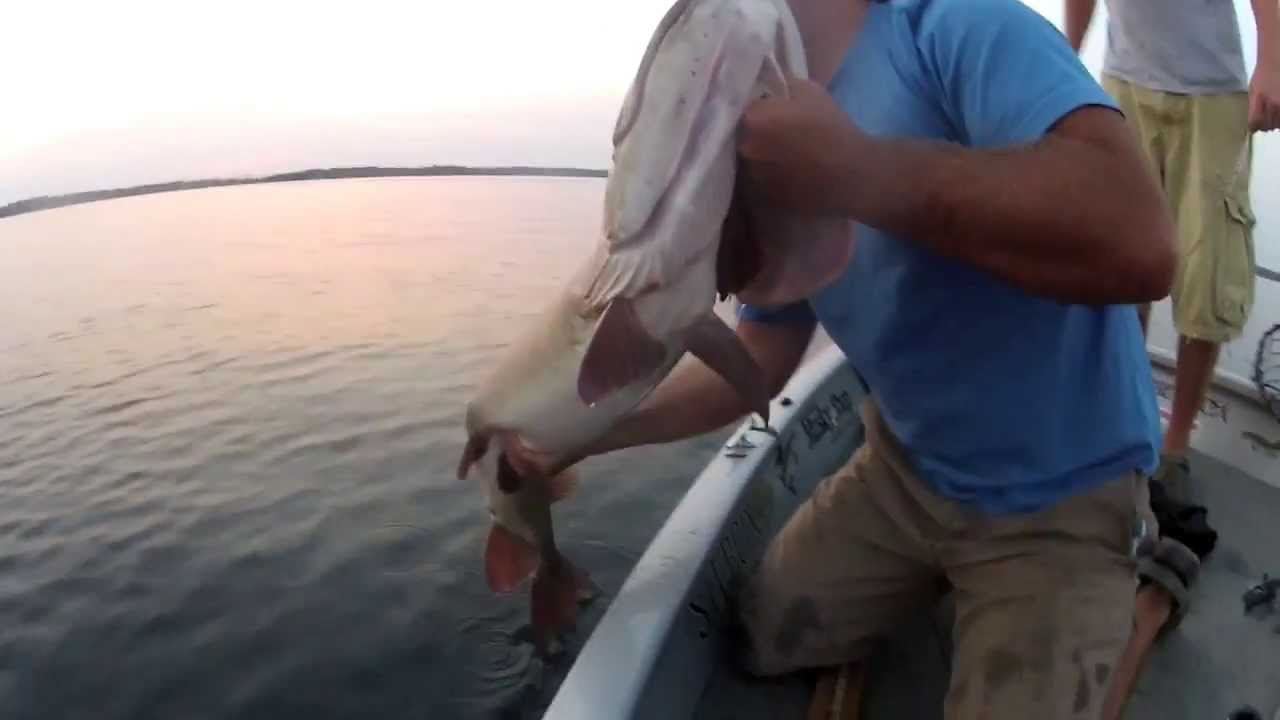 50 Inch Muskie - YouTube