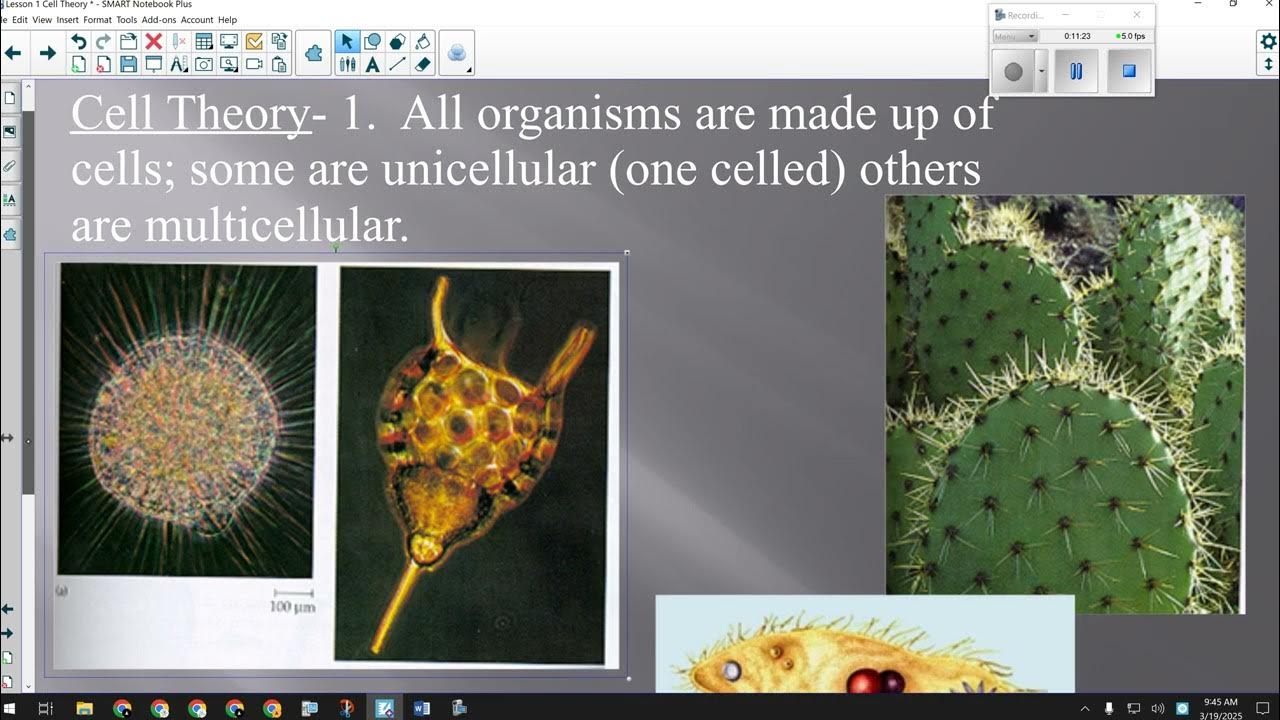 Science 10 Biology Lesson 1 Cell Theory - YouTube