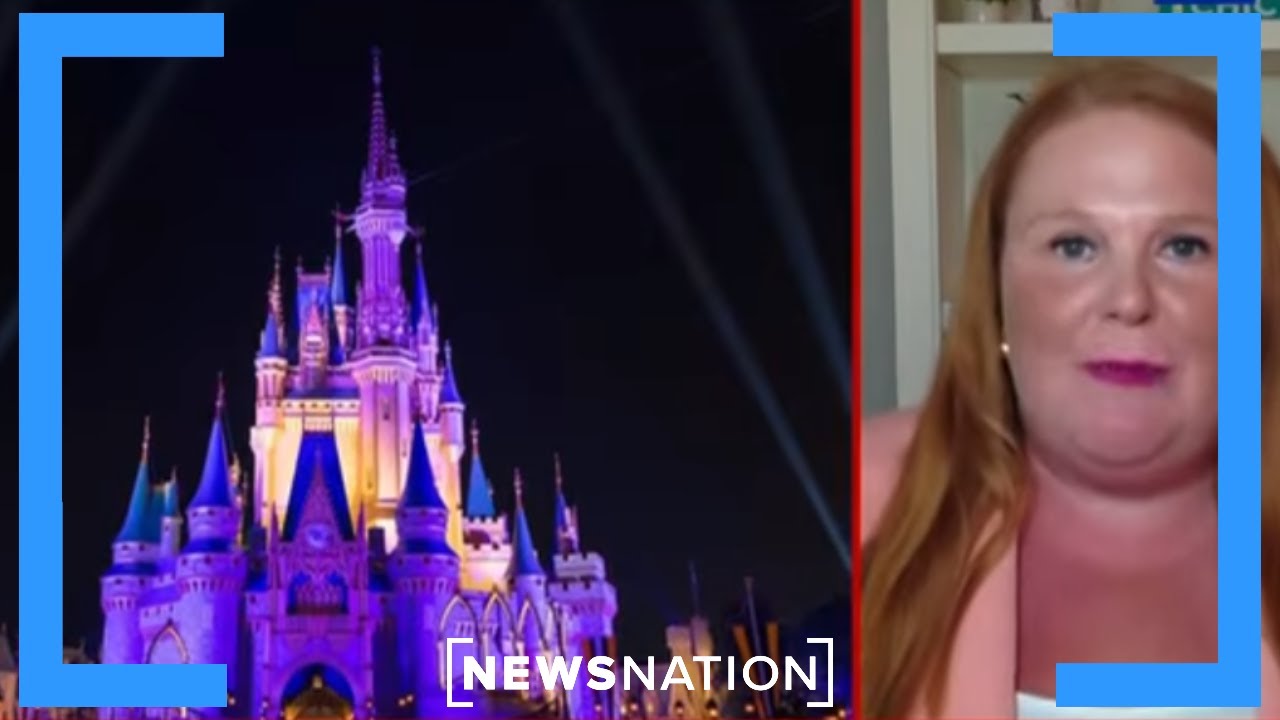 No judge would say Disney legal argument is ‘reasonable’: Trial ...